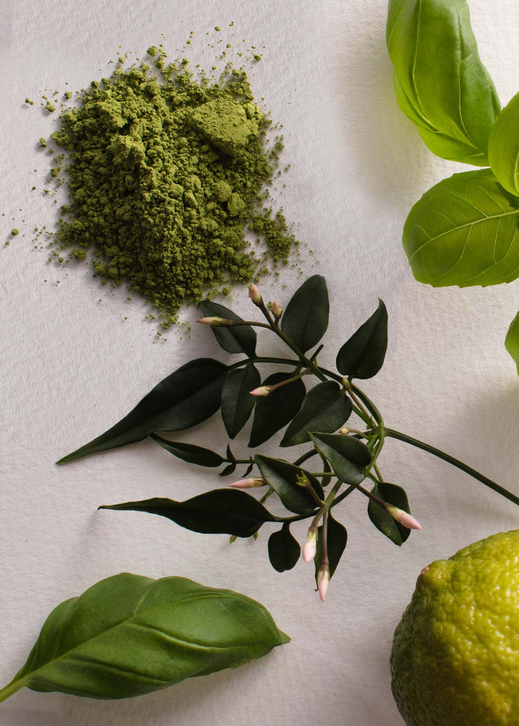 Unveiling the Top Fragrance Notes: Top Trends and Popular Scents – Diem ...