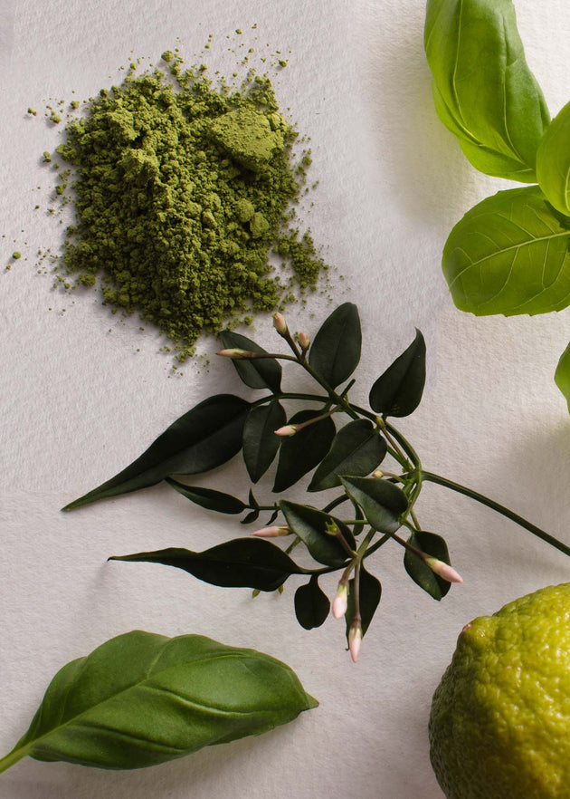 Unveiling the Top Fragrance Notes: Top Trends and Popular Scents – Diem ...