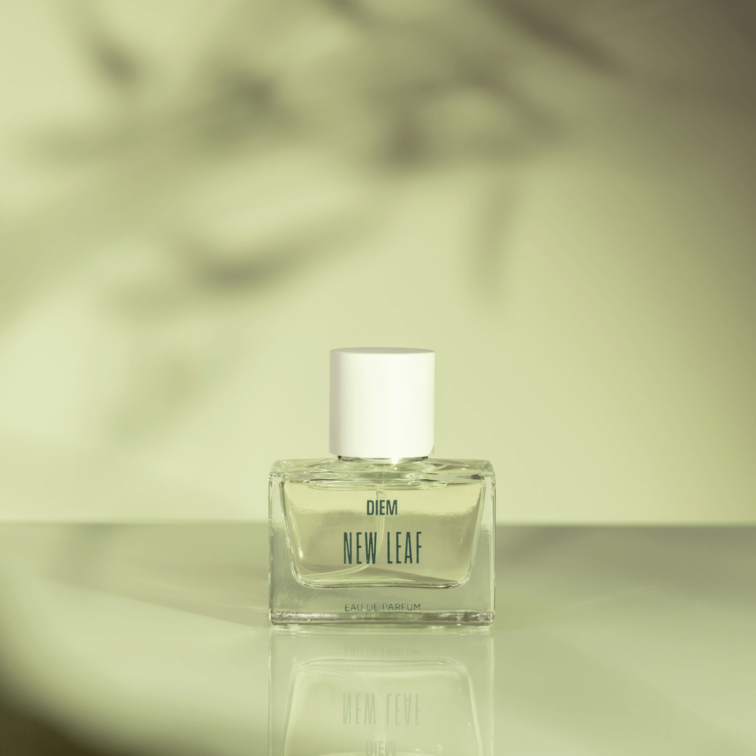 Diem Scents - Play with Every Spray. Personalised Scent Discovery.